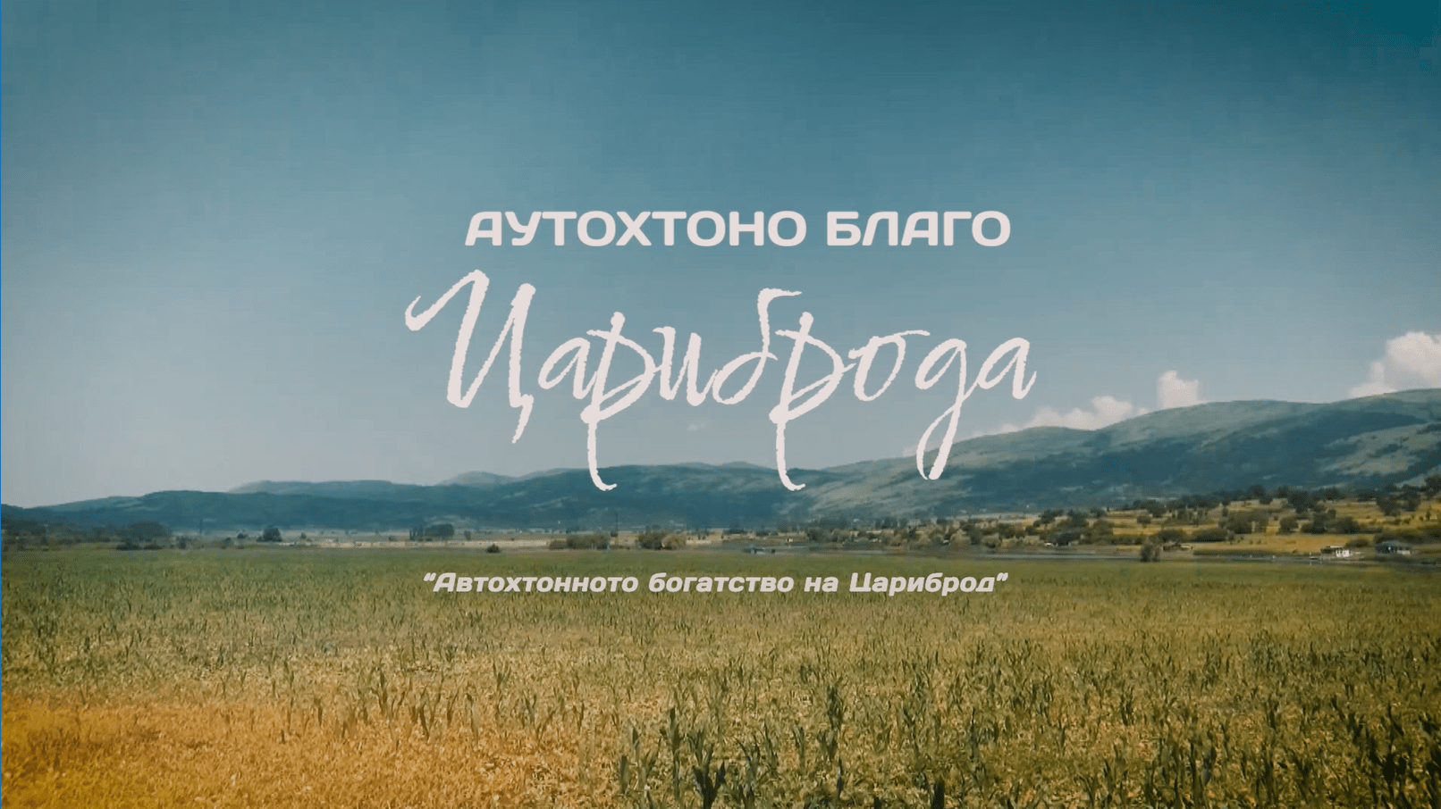 Autohtono blago Caribroda - Najava i Špica » gospaleks
