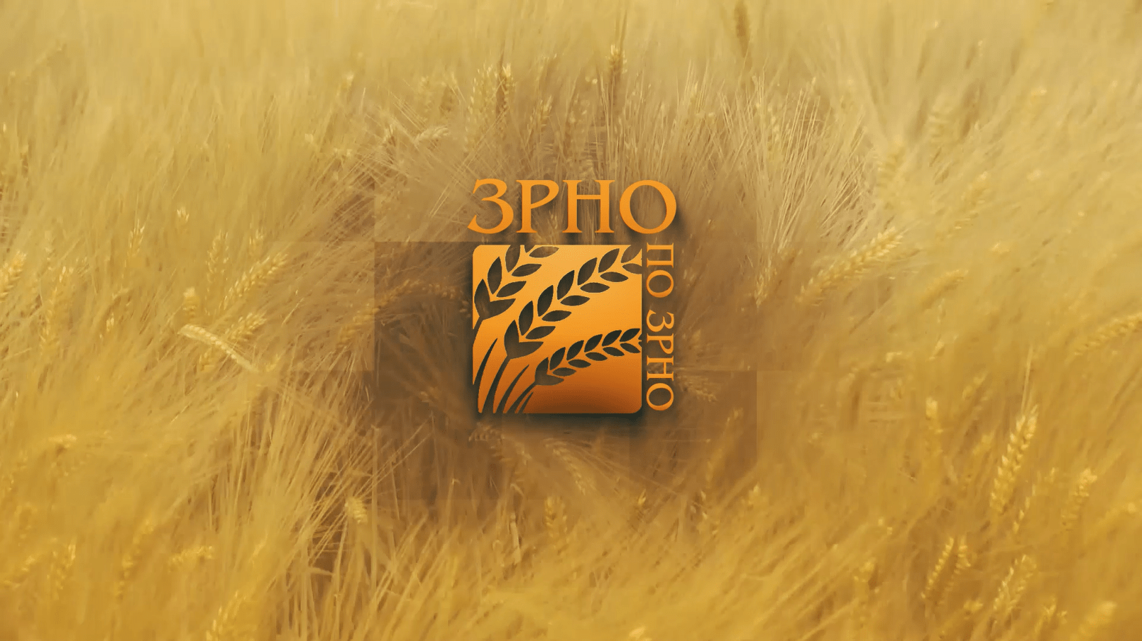 Zrno po zrno - Najava i Špica » gospaleks